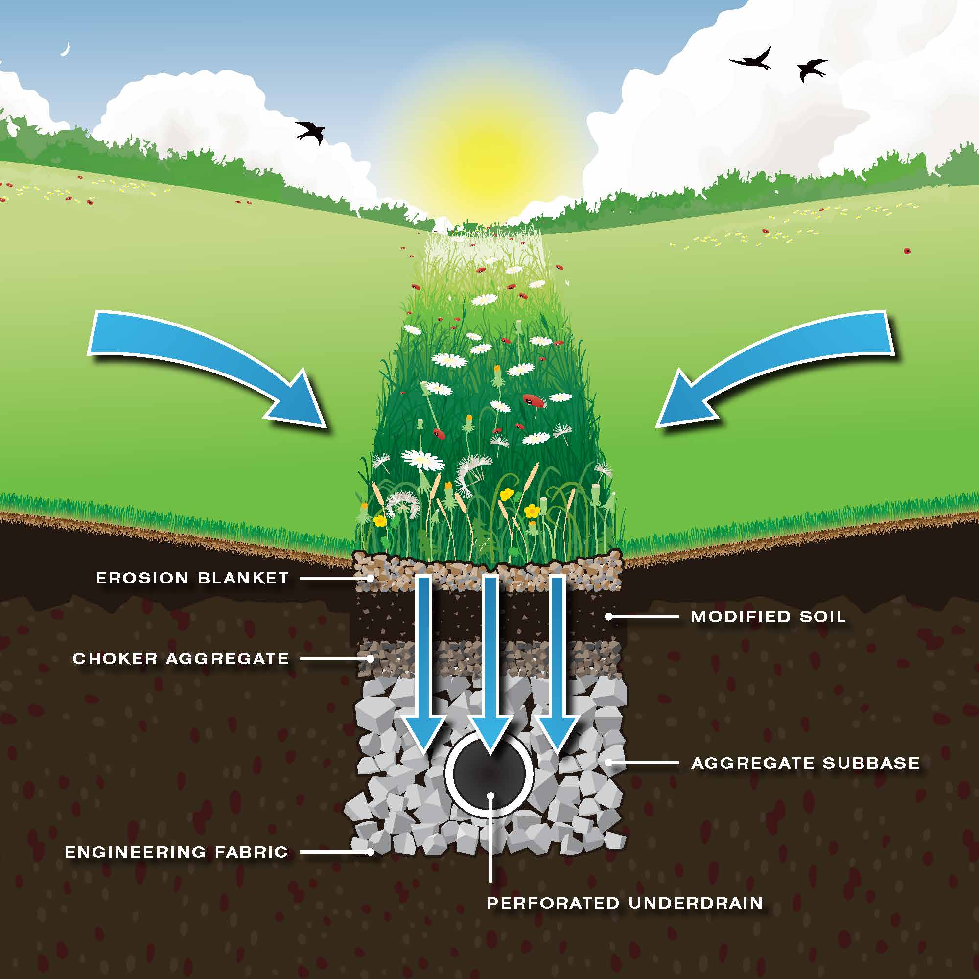 Bioswales: How They Work